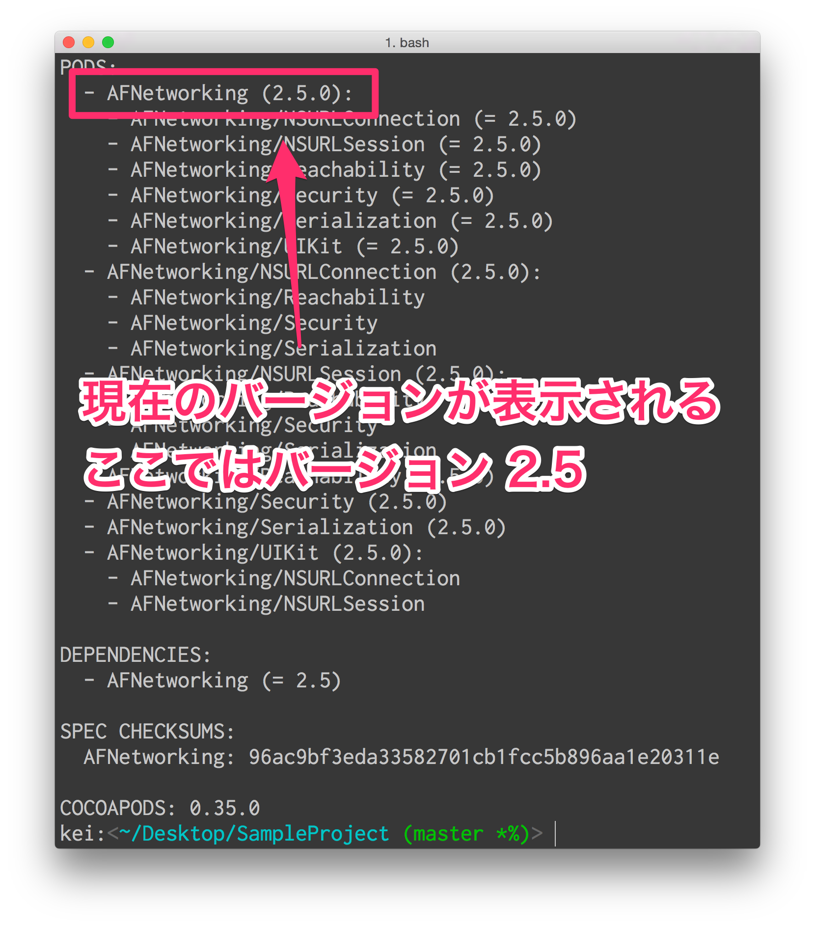 [脆弱性対応] AFNetworking をアップデートしよう | DevelopersIO