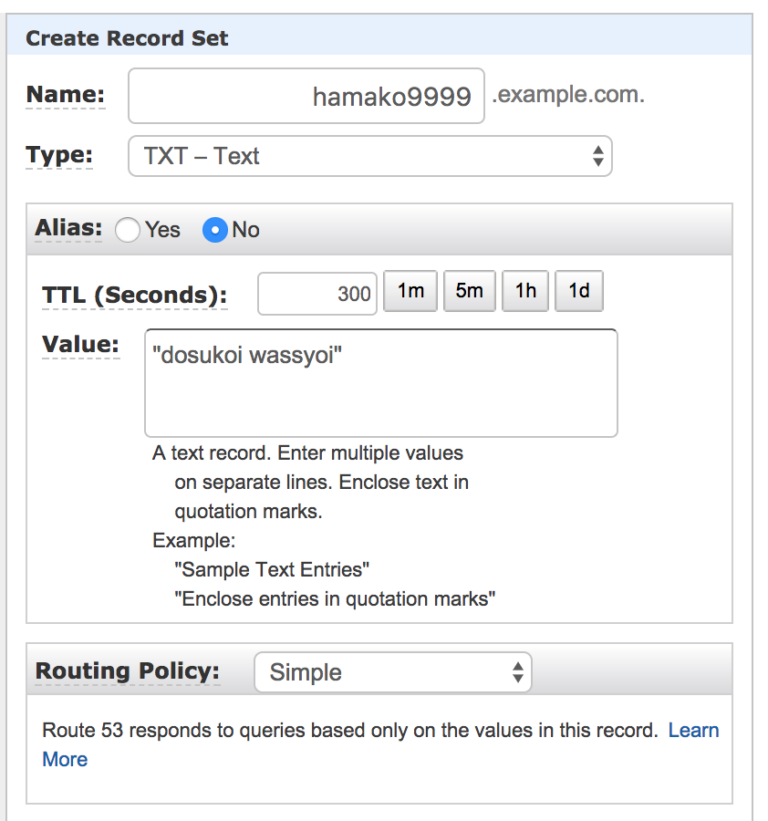 DNSド素人がdigコマンドとRoute 53を使って、DNSについてあれこれ学んでみた | DevelopersIO