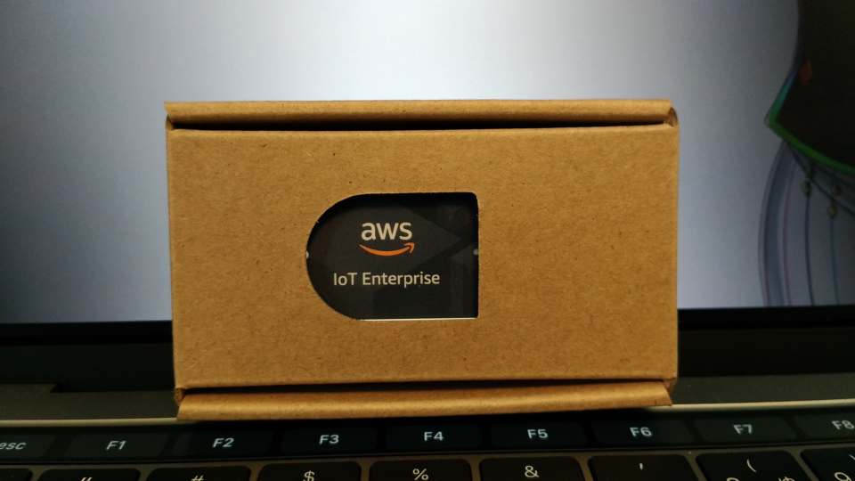AWS IoT 1-Click専用のIoT デバイスが買えるようになりました！！ | DevelopersIO