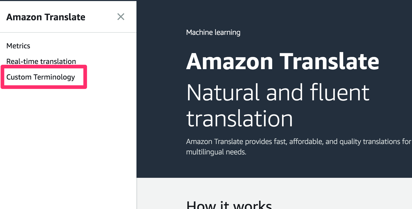 【新機能】Amazon TranslateがCustom Terminologyに対応しました #reinvent | DevelopersIO