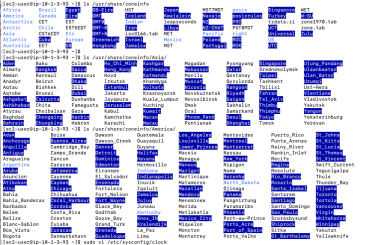 Amazon Time Sync Service で時刻同期した EC2 サーバから時刻同期する | DevelopersIO