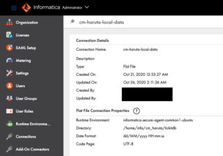 IICS CDI Mapping Designer入門 〜Normalizer（ノーマライザ）編〜 | DevelopersIO