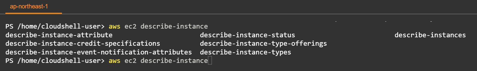 とあるPowerShell使いから見たAWS CloudShell #reinvent | DevelopersIO