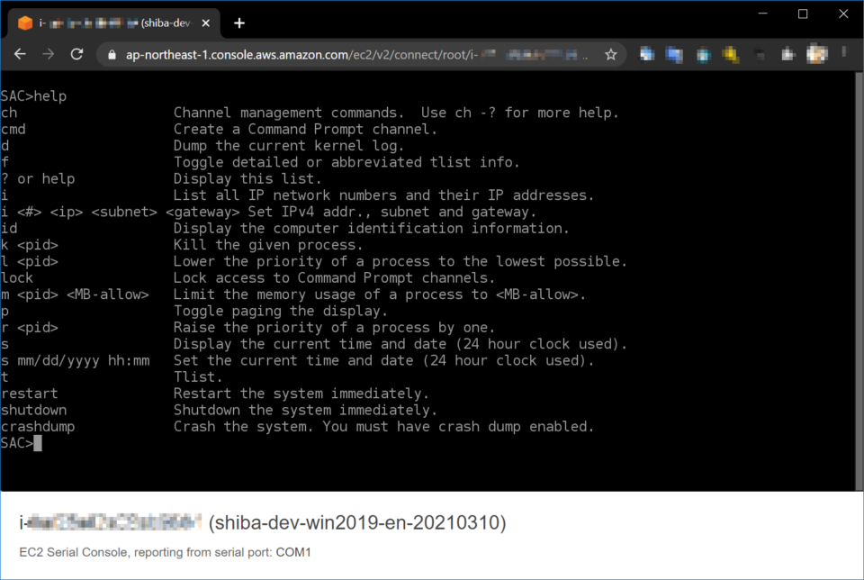 EC2でシリアルポートアクセスが可能になったのでWindows Serverの緊急管理サービス(EMS)を試してみた | DevelopersIO