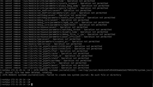 Amazon Linux 2 で「rm -rf /*」を実行してみた | DevelopersIO