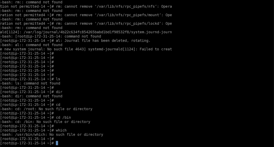Amazon Linux 2 で「rm -rf /*」を実行してみた | DevelopersIO