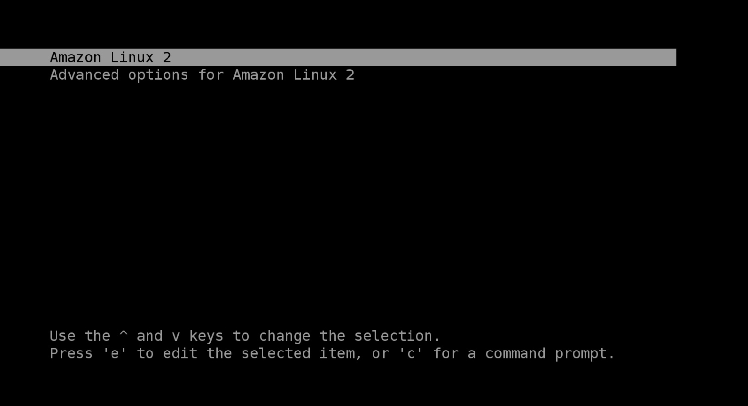 Amazon Linux 2 で「rm -rf /*」を実行してみた | DevelopersIO