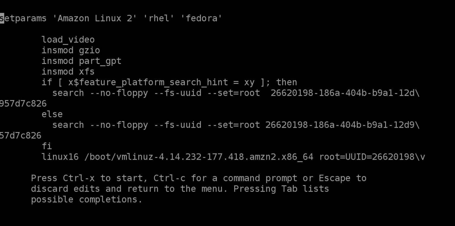 Amazon Linux 2 で「rm -rf /*」を実行してみた | DevelopersIO