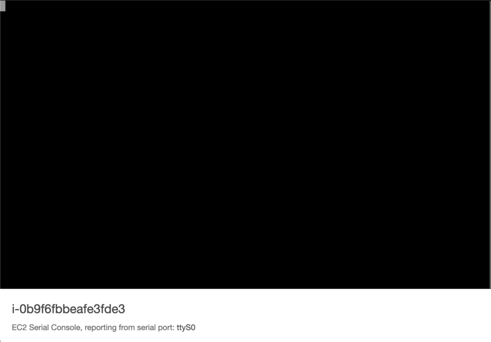 Amazon Linux 2 で「rm -rf /*」を実行してみた | DevelopersIO