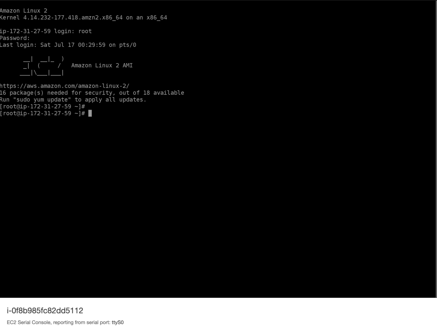 Amazon Linux 2 で「rm -rf /*」を実行してみた | DevelopersIO