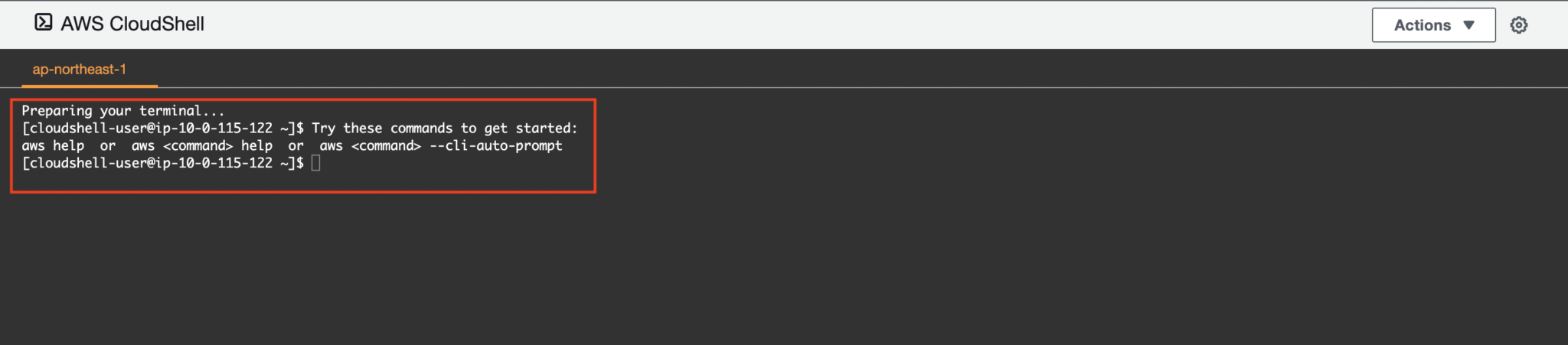 東京リージョンでAWS CloudShellを使ってみた | DevelopersIO