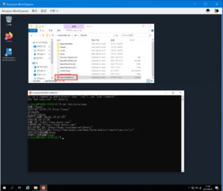 [アップデート] Amazon WorkSpacesでWindows Server 2019のイメージが使える様になりました | DevelopersIO