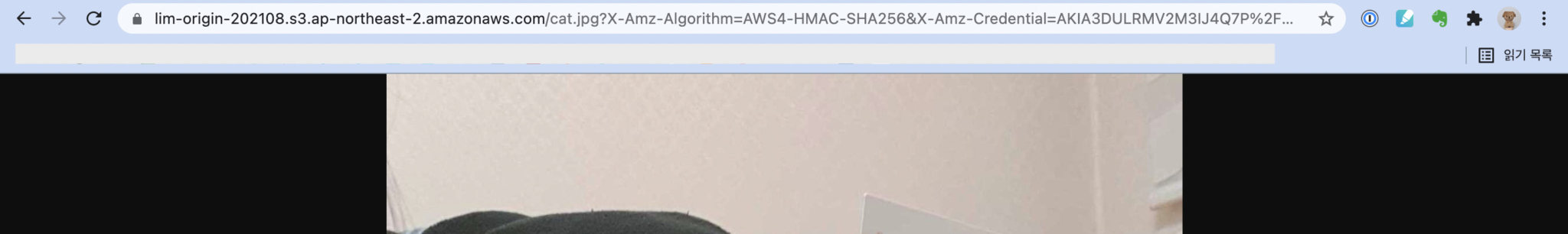 AWS CLIを利用し、Amazon S3バケットのpre-signed urlsを取得してみました | DevelopersIO