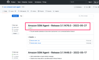 AWS Systems Manager エージェント（SSM Agent）の現行のバージョンを確認して最新バージョンにアップデートする ...