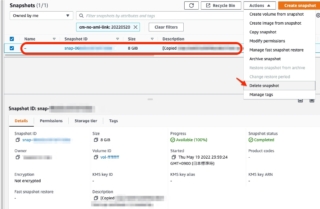 AMIと紐付けのないスナップショットをCloudShellで一括削除してみた。 | DevelopersIO