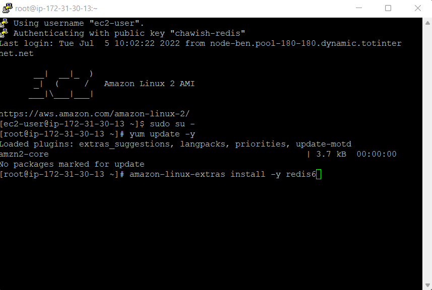 การติดตั้ง Redis ลงใน Amazon Linux 2 (EC2) | DevelopersIO