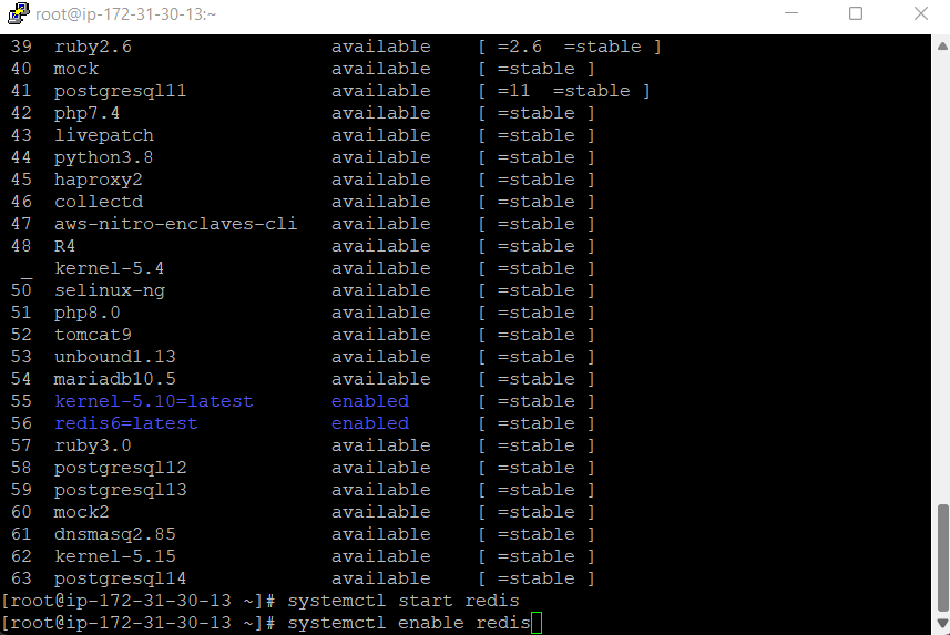การติดตั้ง Redis ลงใน Amazon Linux 2 (EC2) | DevelopersIO