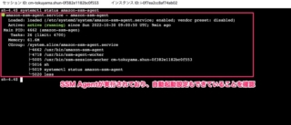 Private SubnetのRHEL EC2インスタンスにSSM Agentをインストールする方法 | DevelopersIO