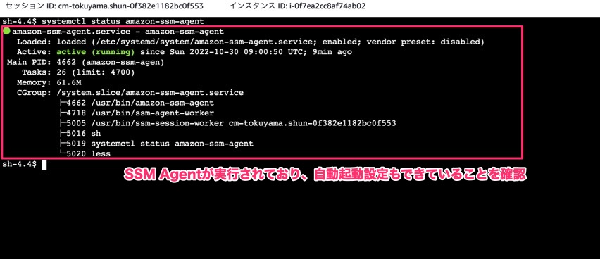 Private SubnetのRHEL EC2インスタンスにSSM Agentをインストールする方法 | DevelopersIO