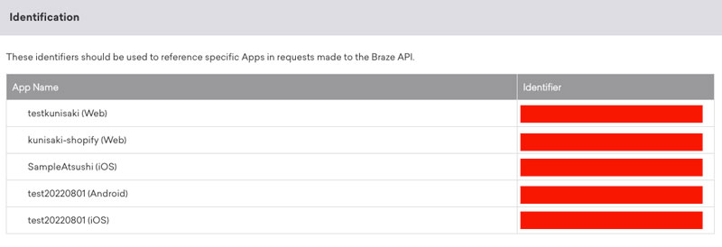 BrazeのAPI連携や検証で使う開発者コンソールの紹介！ | DevelopersIO