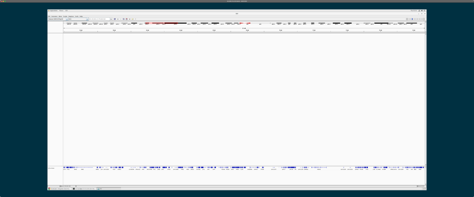 4K 解像度対応の NICE DCV でリモート接続してみる | DevelopersIO