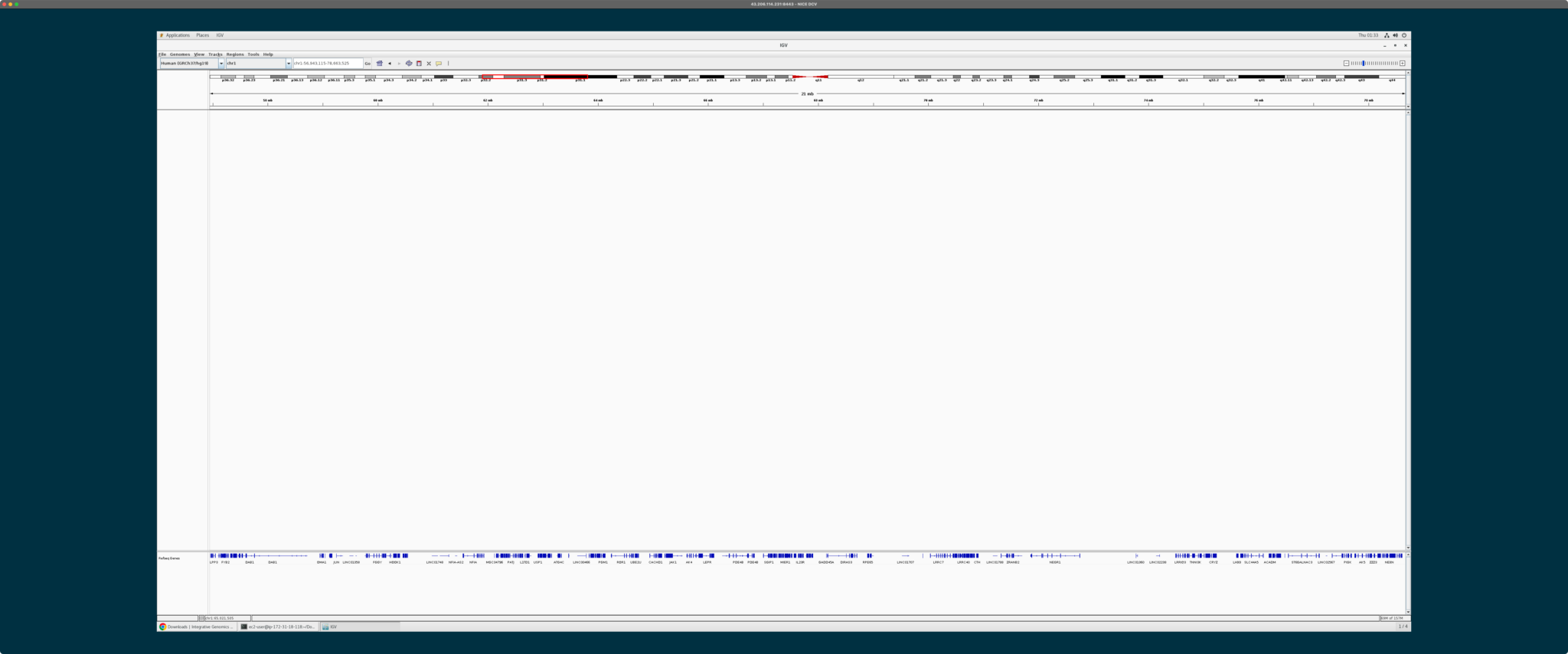 4K 解像度対応の NICE DCV でリモート接続してみる | DevelopersIO