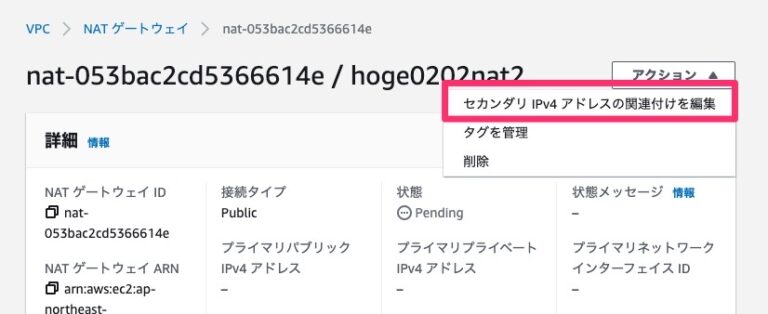 [アップデート] NAT ゲートウェイに複数の IP アドレスを関連付け出来るようになりました | DevelopersIO