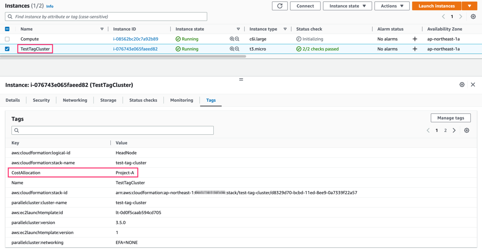 AWS ParallelCluster クラスター単位でコスト配分タグを付与するコンフィグ設定 | DevelopersIO