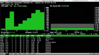 YOLOv5でアヒルを検出するモデルを作ってみました。(NVIDIA Jetson AGX Orin + l4t-pytorch:r35.2.1-pth2.0-py3) | DevelopersIO