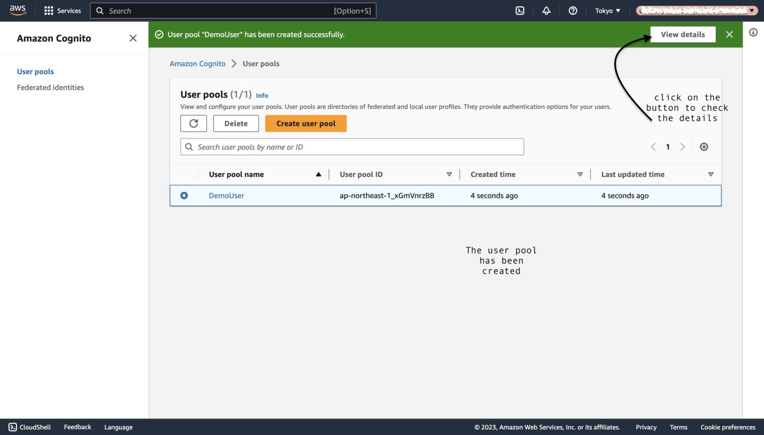 Amazon Cognito – From a Beginner’s Overview. | DevelopersIO