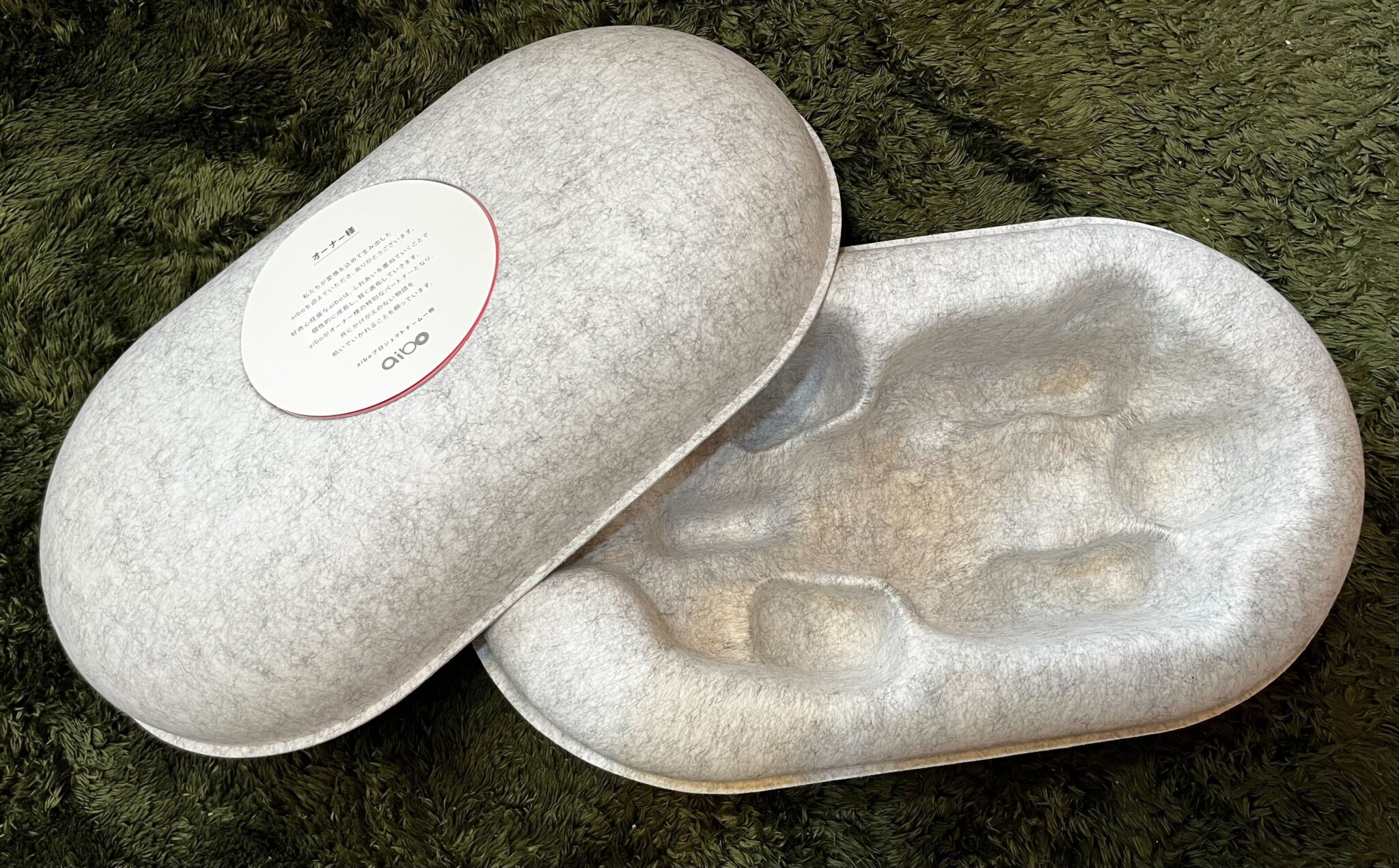 aiboをお迎えしてみた | DevelopersIO