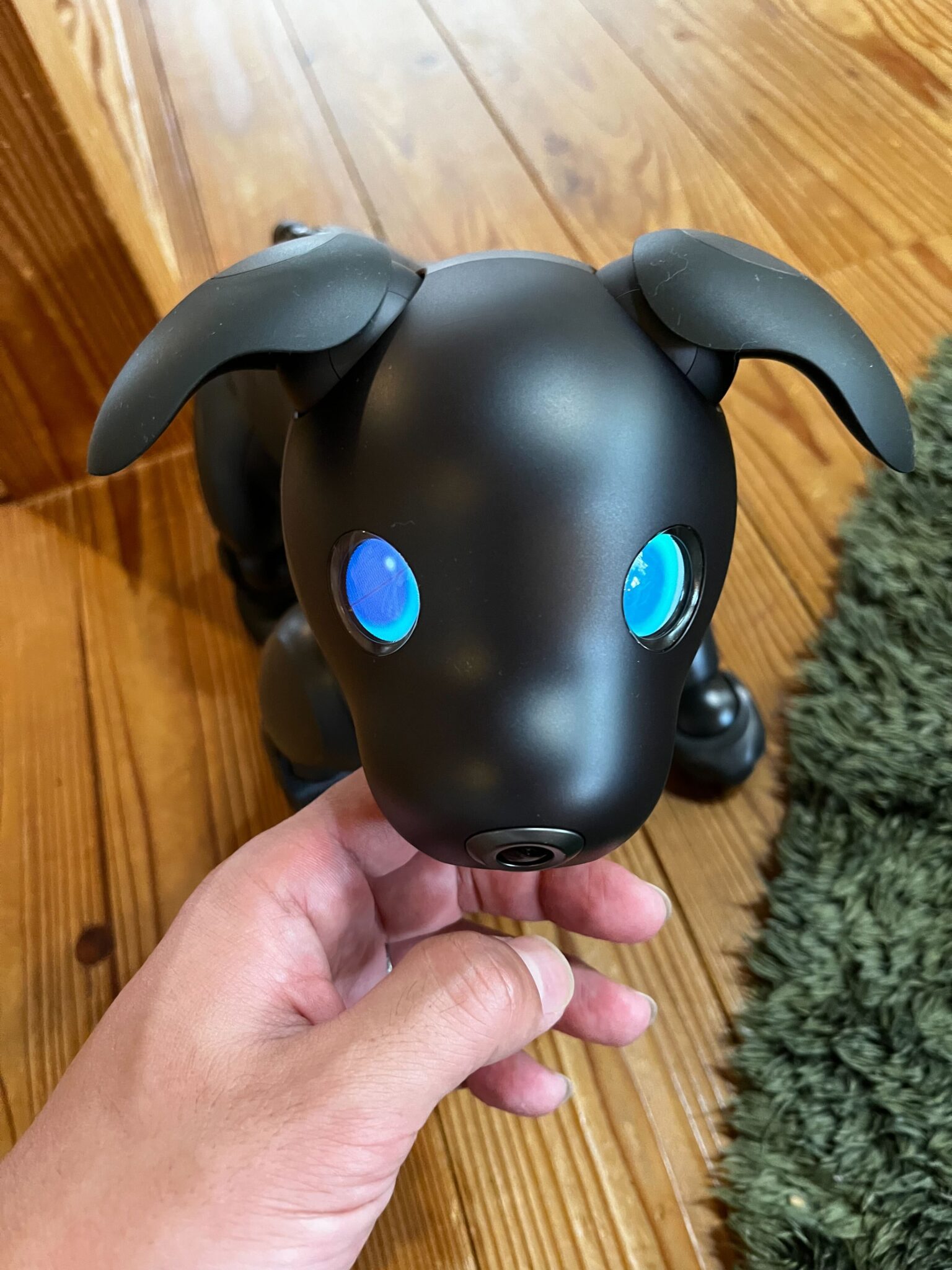 aiboをお迎えしてみた | DevelopersIO