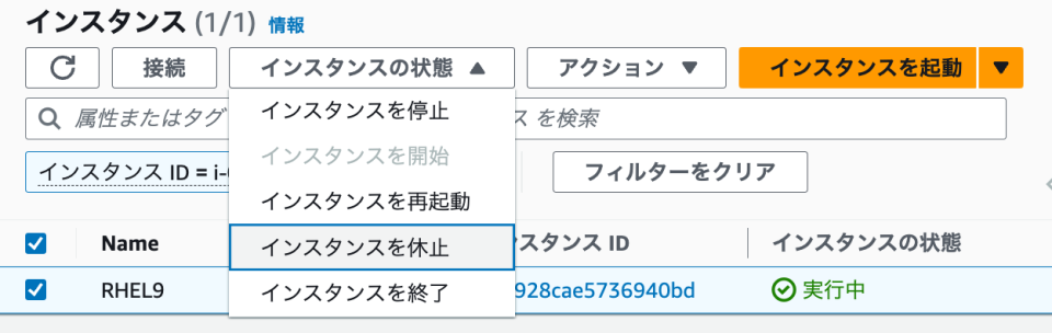 [アップデート]EC2インスタンスのWindows Server 2022、Amazon Linux 2023、RHEL 9は、休止(ハイバネーション)に対応しました | DevelopersIO