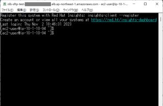 NLB 経由で手元の Windows 11 からプライベートサブネットの EC2（RHEL9）に TeraTerm での SSH 接続とファイル転送を試してみた | DevelopersIO