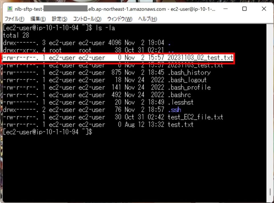 NLB 経由で手元の Windows 11 からプライベートサブネットの EC2（RHEL9）に TeraTerm での SSH 接続とファイル転送を試してみた | DevelopersIO