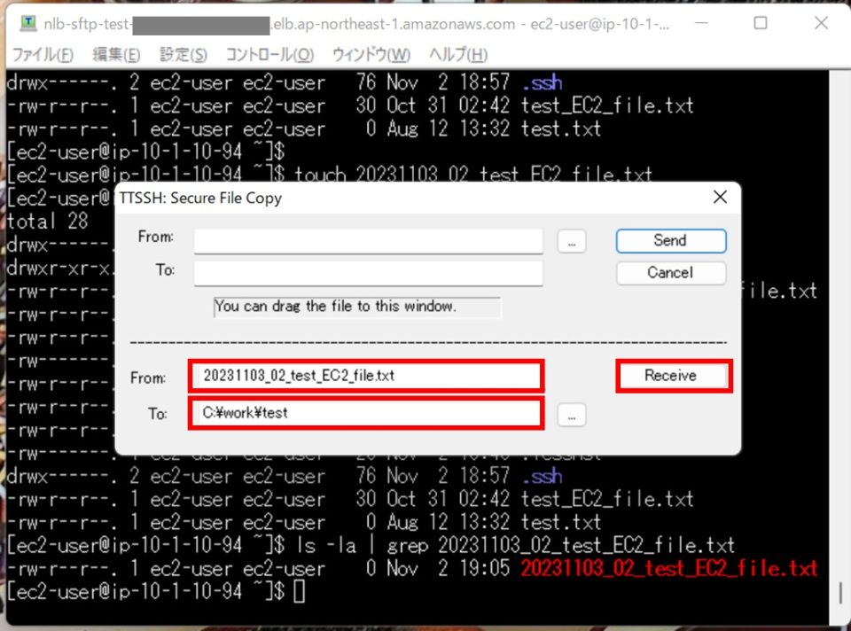 NLB 経由で手元の Windows 11 からプライベートサブネットの EC2（RHEL9）に TeraTerm での SSH 接続とファイル転送を試してみた | DevelopersIO