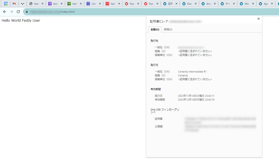 Fastly と S3 で静的コンテンツの配信と HTTPS 化をしてみた | DevelopersIO