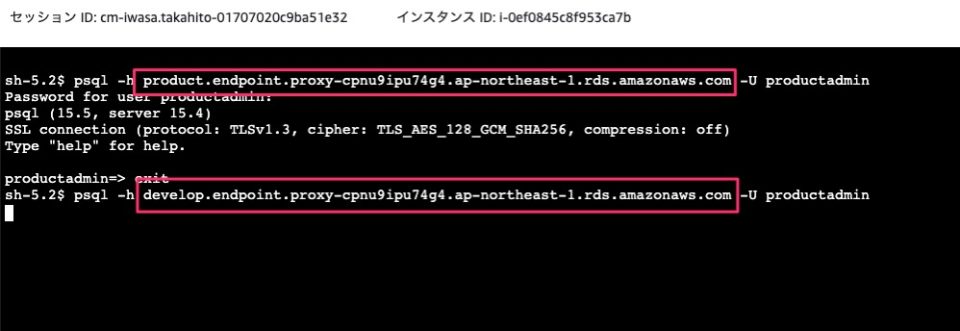 Amazon RDS インスタンスに対して CIDR の異なる複数のエンドポイントを作成する方法を検討してみた | DevelopersIO