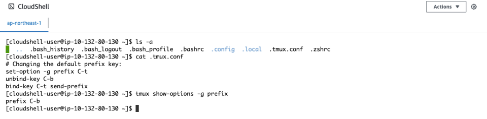 AWS CloudShellをControl-Bできちんと1文字戻るように設定してみた | DevelopersIO