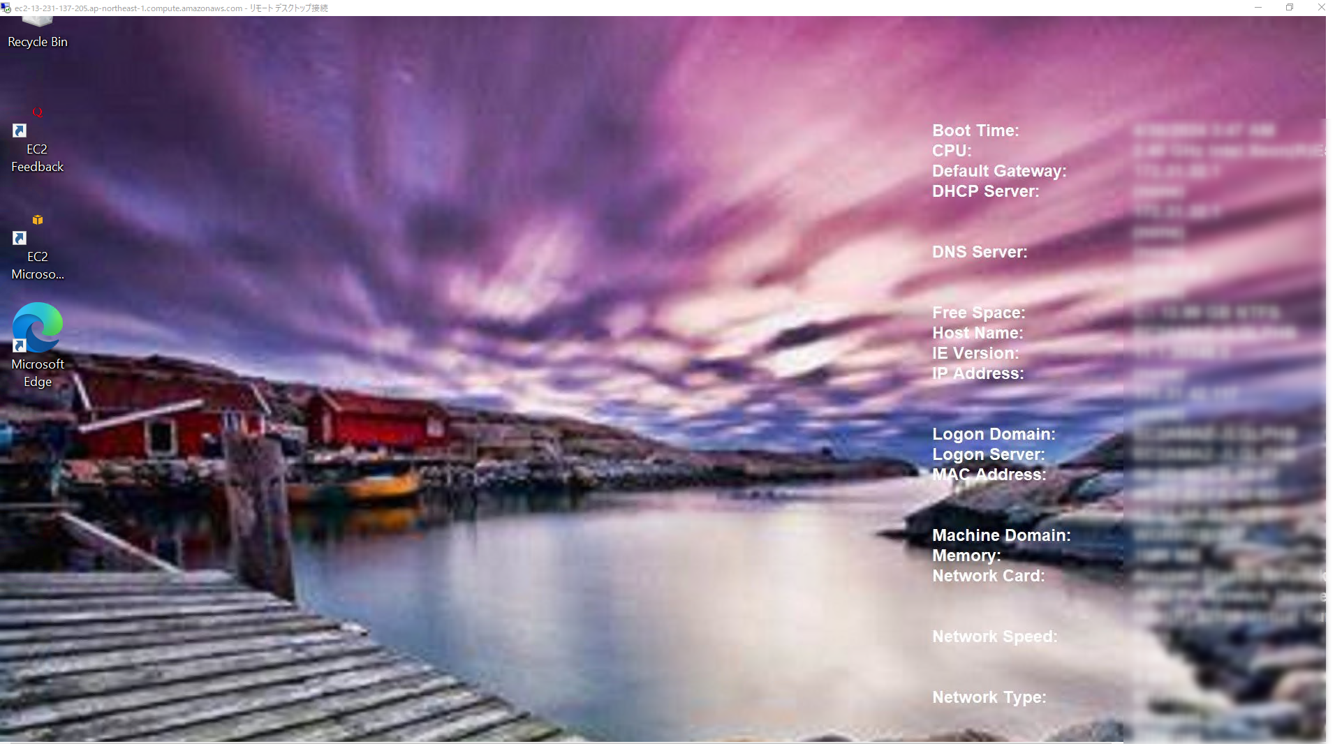 BgInfoをEC2のWindowsインスタンスの壁紙にする | DevelopersIO