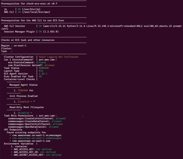 ECS on EC2でECS Execがエラーになるときはネットワークモードを確認しよう | DevelopersIO