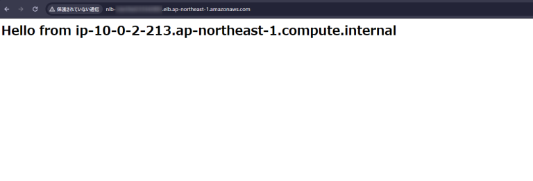 外部公開している NLB 1 台だけでプライベートなアクセス経路も確保する | DevelopersIO