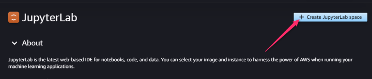 SageMaker StudioのJupyterLab Spaceをカスタムイメージで起動する方法 | DevelopersIO