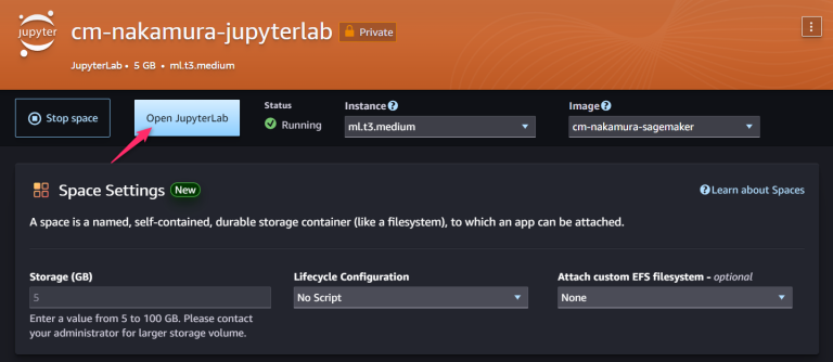 SageMaker StudioのJupyterLab Spaceをカスタムイメージで起動する方法 | DevelopersIO