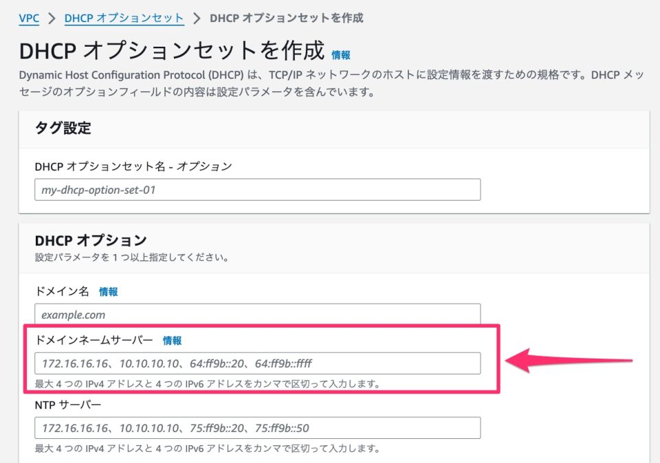 Lambda で参照する DNS サーバを変更する方法を教えてください | DevelopersIO